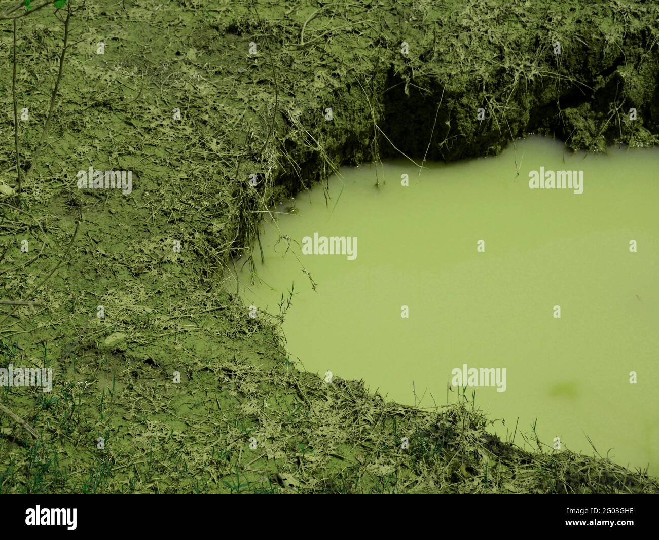 Half water half soil land image natural concept Stock Photo - Alamy
