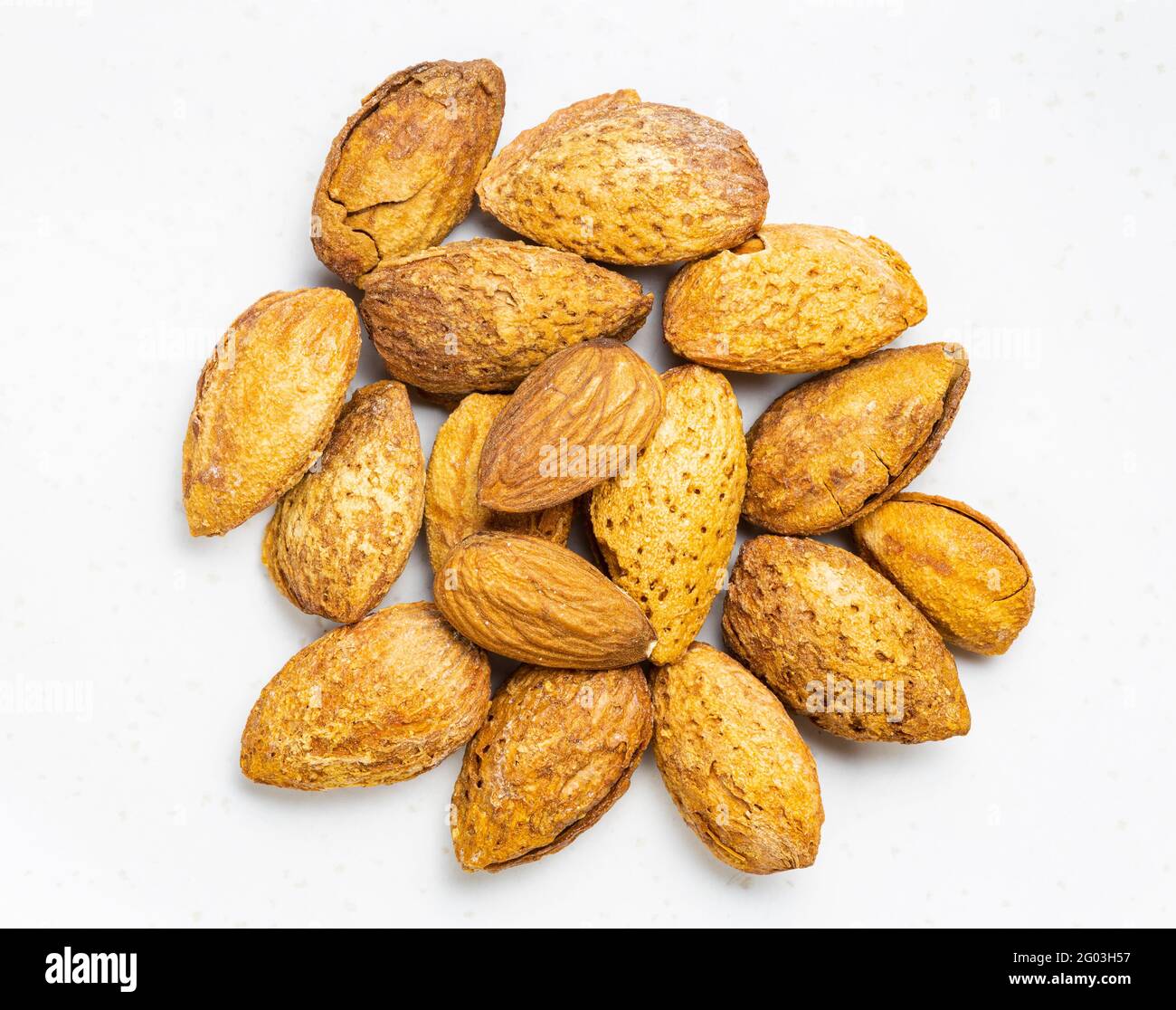 top view of pile of almond seeds and drupes close up on gray ceramic ...