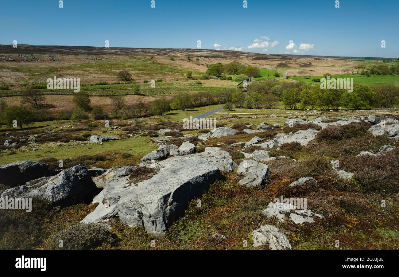 Heather main hi-res stock photography and images - Alamy
