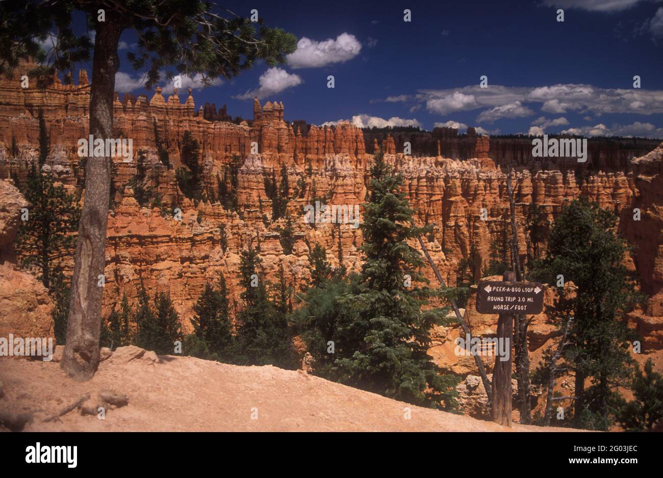 Bryce Canyon, Utah Stock Photo - Alamy