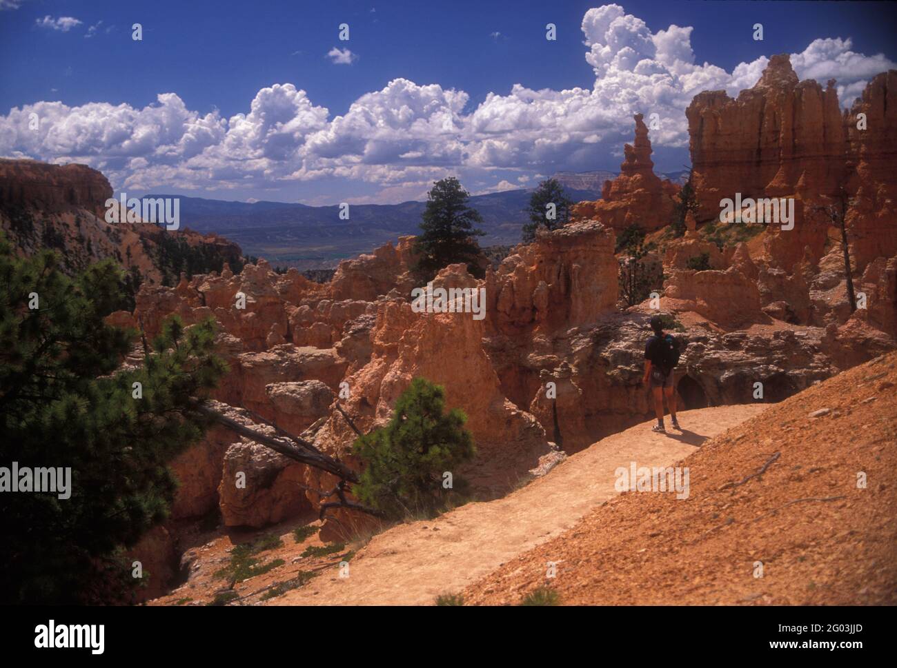 Bryce Canyon, Utah Stock Photo - Alamy