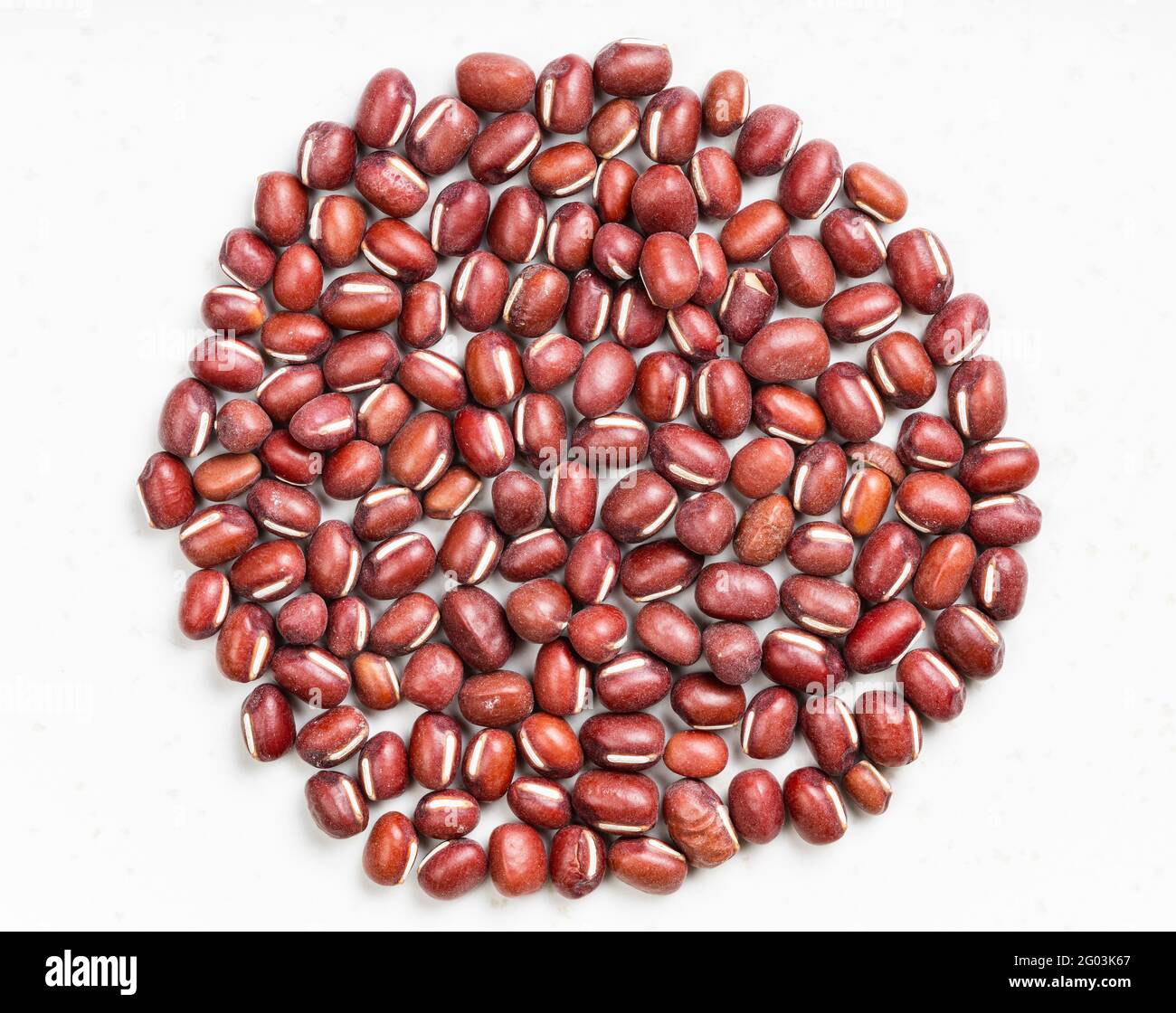 Azuki bean adzuki bean vigna angularis hi-res stock photography and ...