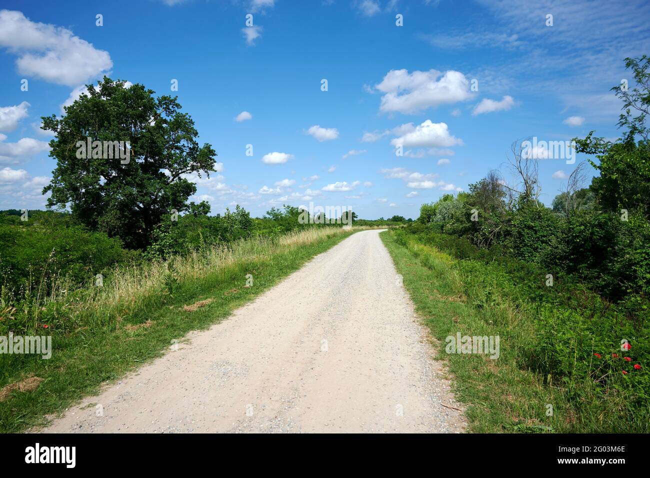 Acquanegra (Mn),Italy, the bicycle path of the river Oglio Stock Photo ...