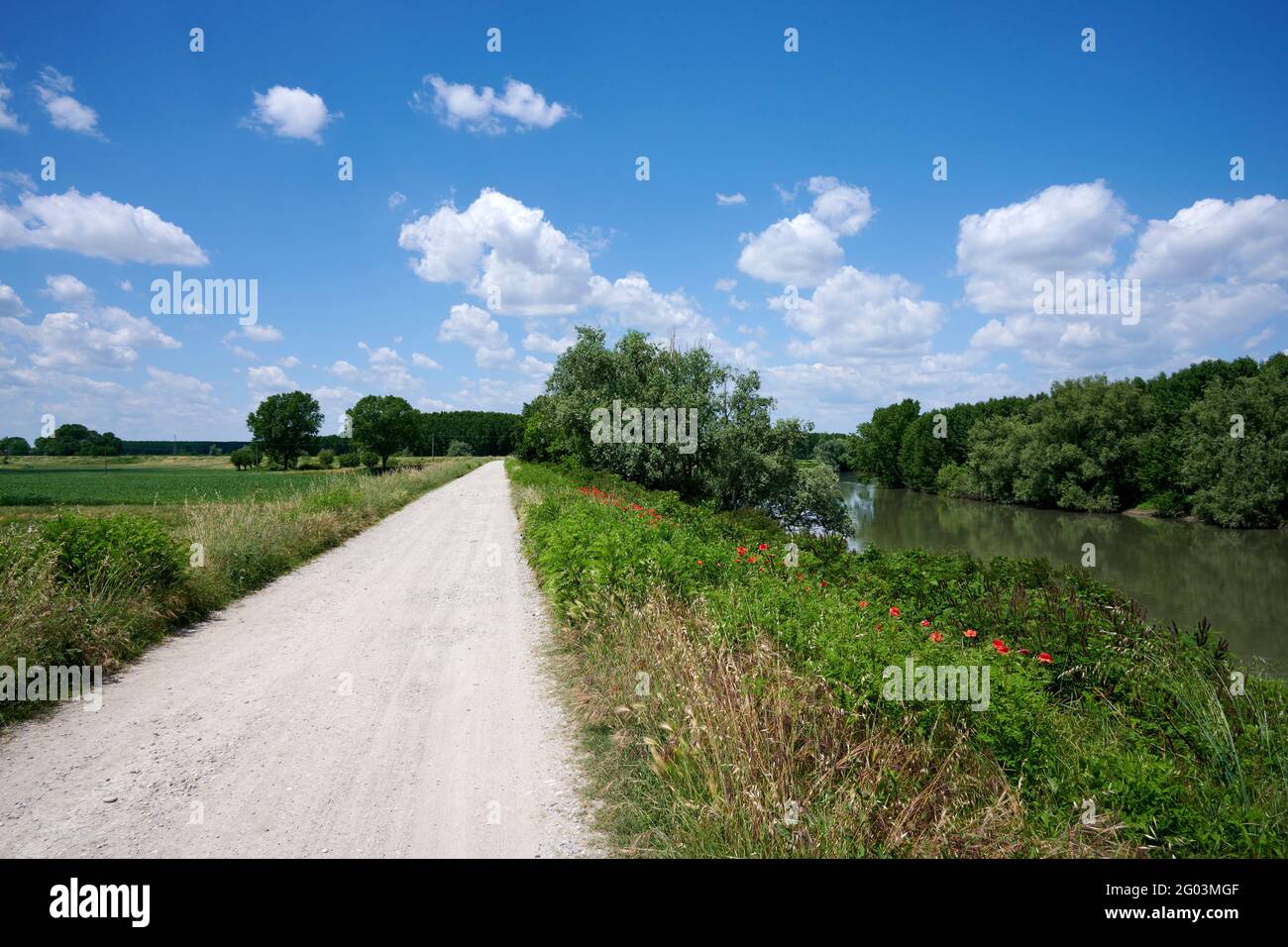 Marcaria (Mn),Italy, the bicycle path of the river Oglio Stock Photo ...