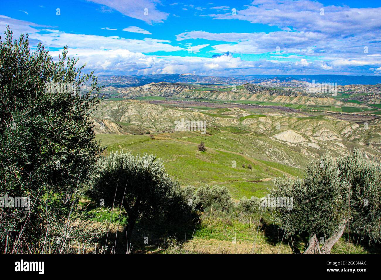 valley of Basilicata with Calanchi Hills, olive trees and mountains ...