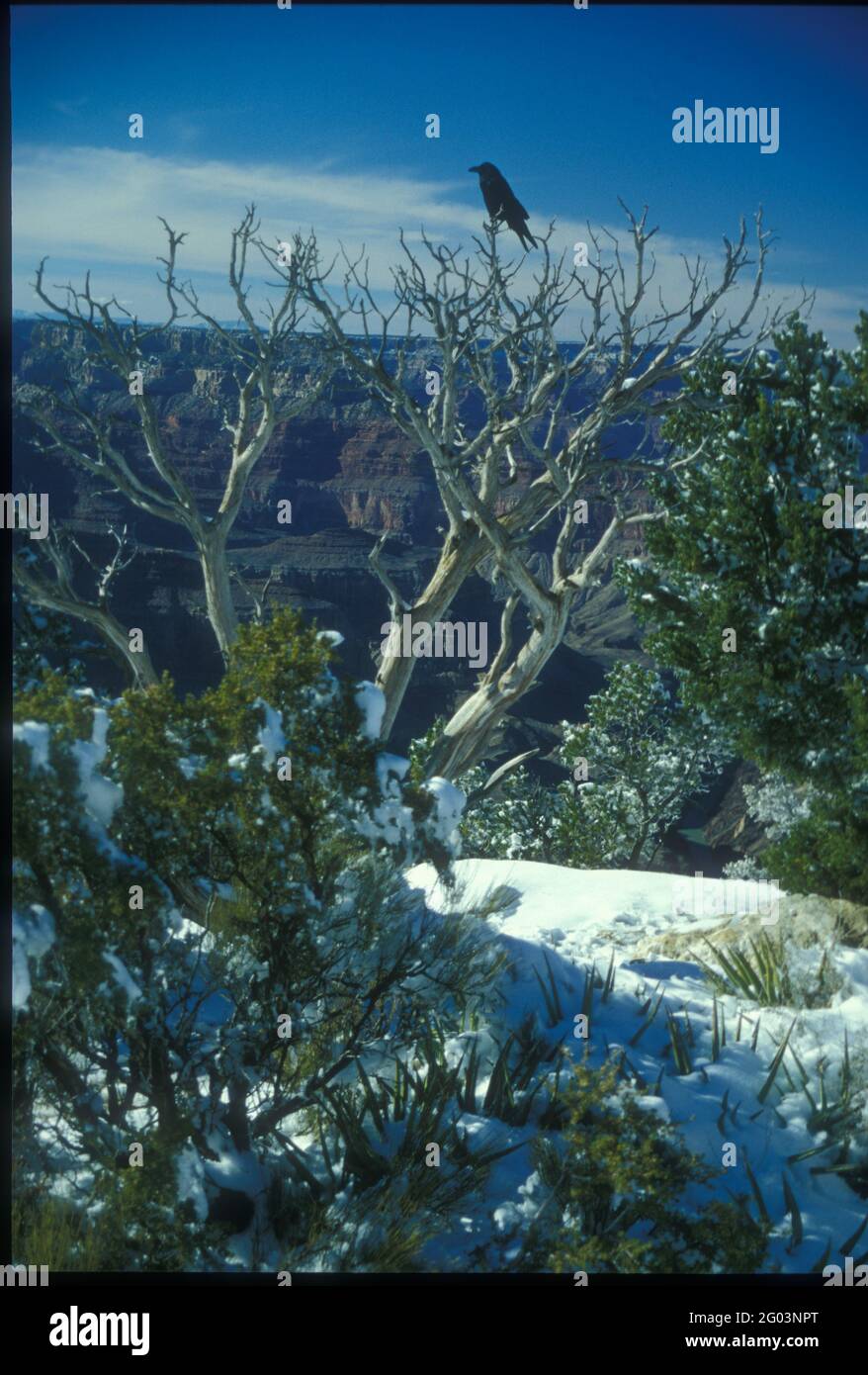 South rim snow hi-res stock photography and images - Alamy