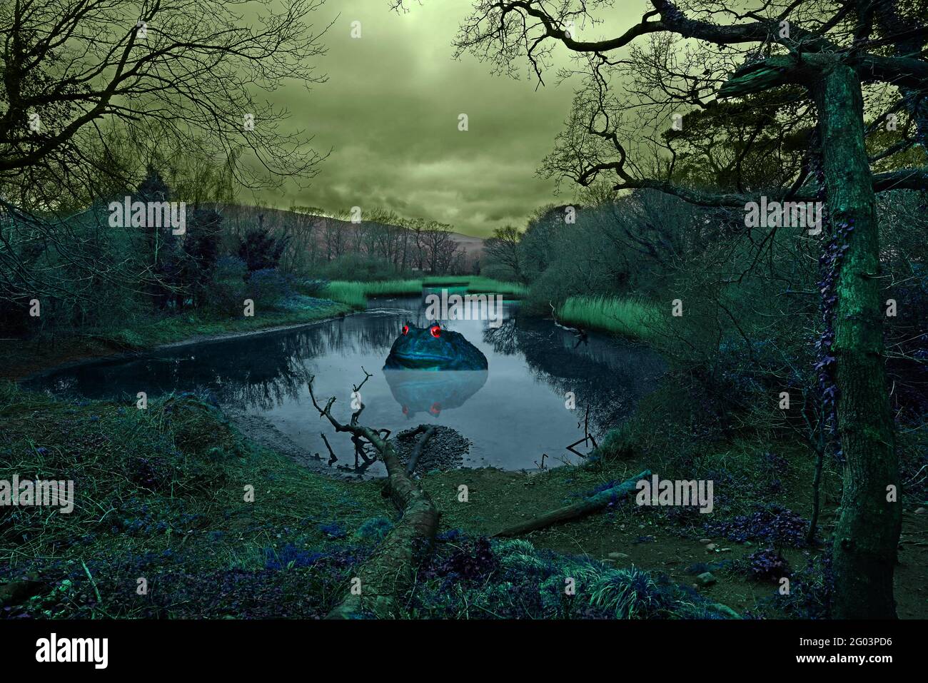 Swamp north hi-res stock photography and images - Alamy