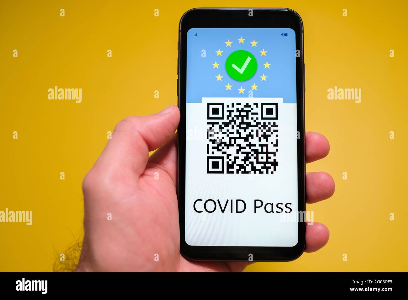 Covid pass with QR code on the screen in smartphone in mans hand on the ...