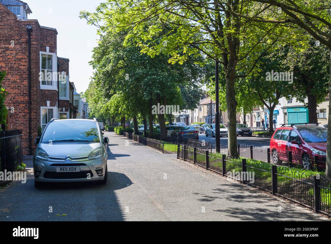 Tree lined street england hi-res stock photography and images - Alamy
