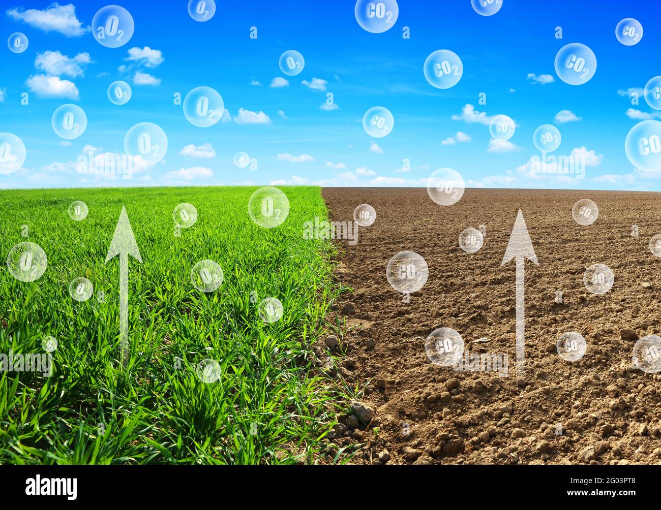 Co2 release hi-res stock photography and images - Alamy