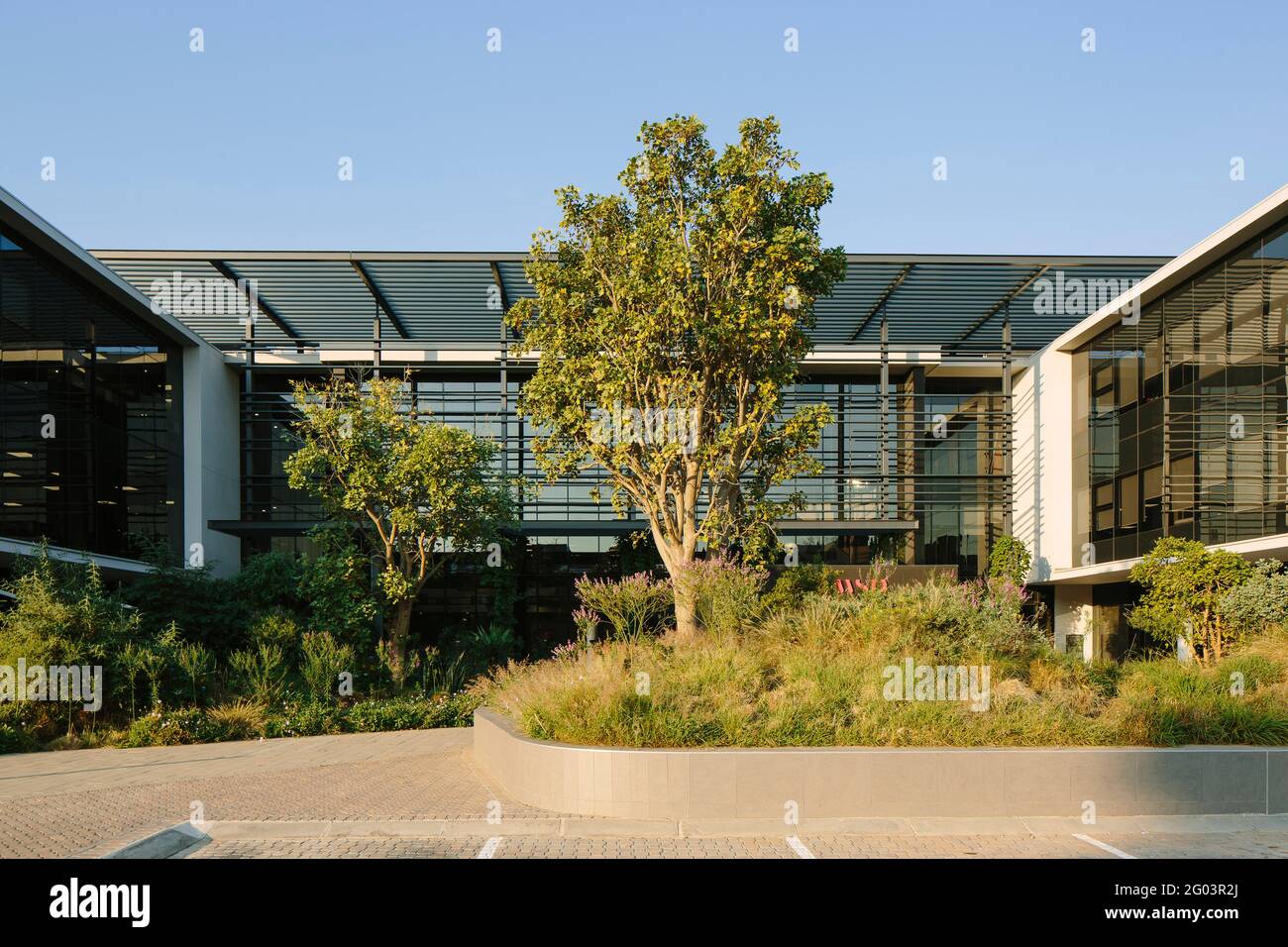 Office Courtyard Landscape