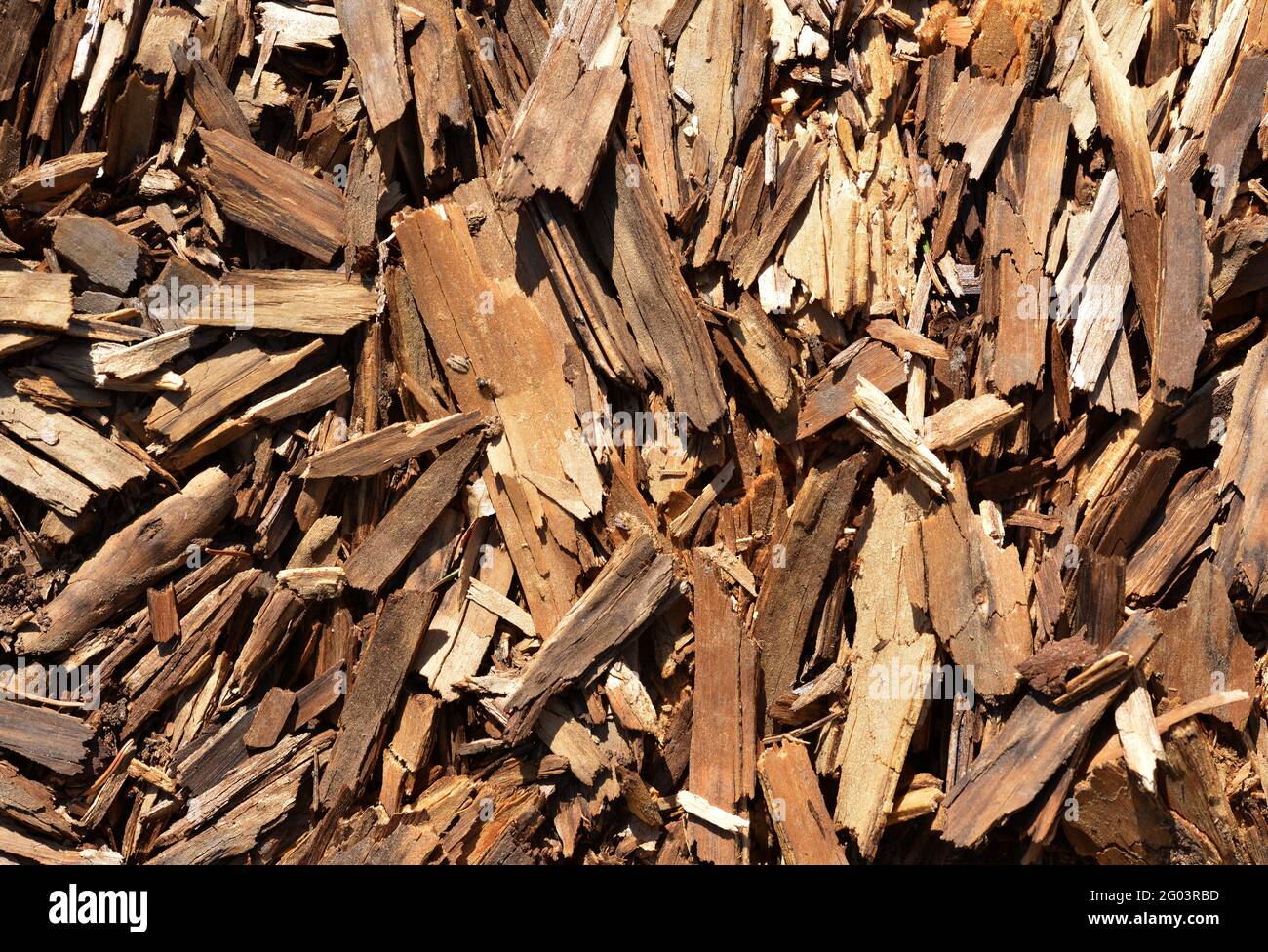 Tree bark splinters close up as background Stock Photo - Alamy