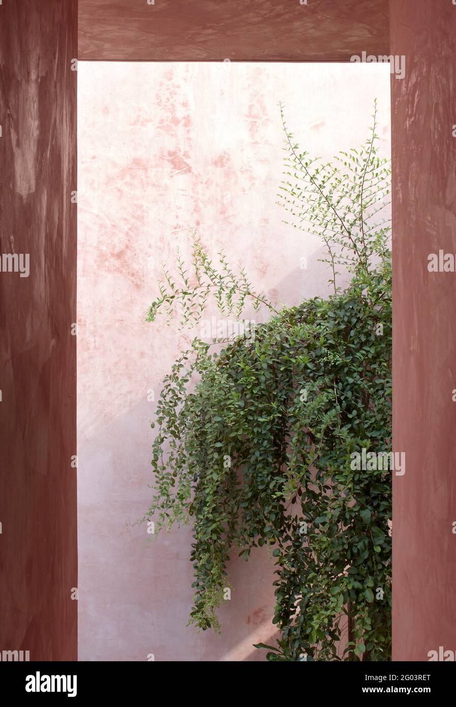 Colorful mexican textured wall hi-res stock photography and images - Alamy