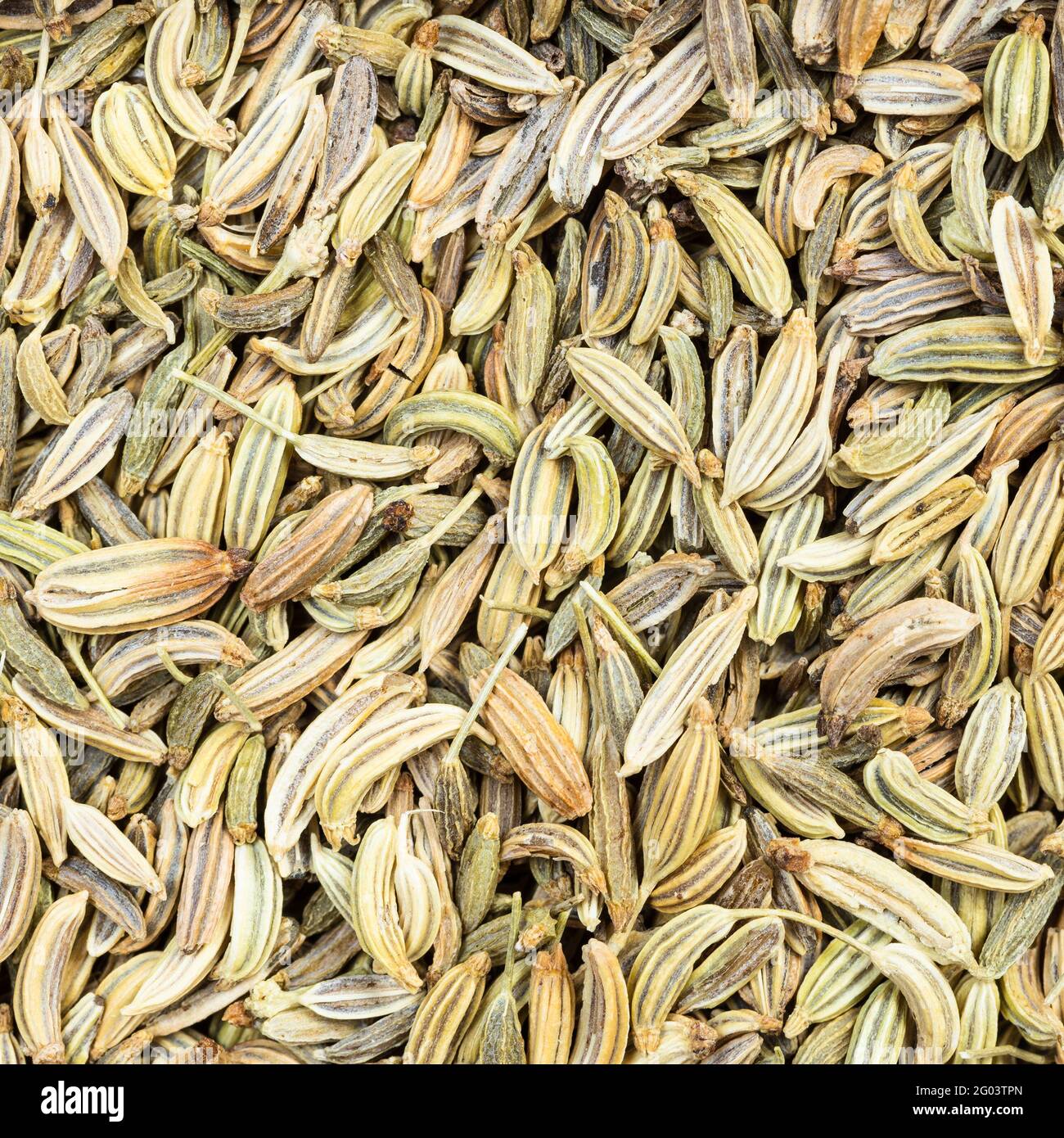 square food background - dried fennel seeds close up Stock Photo - Alamy