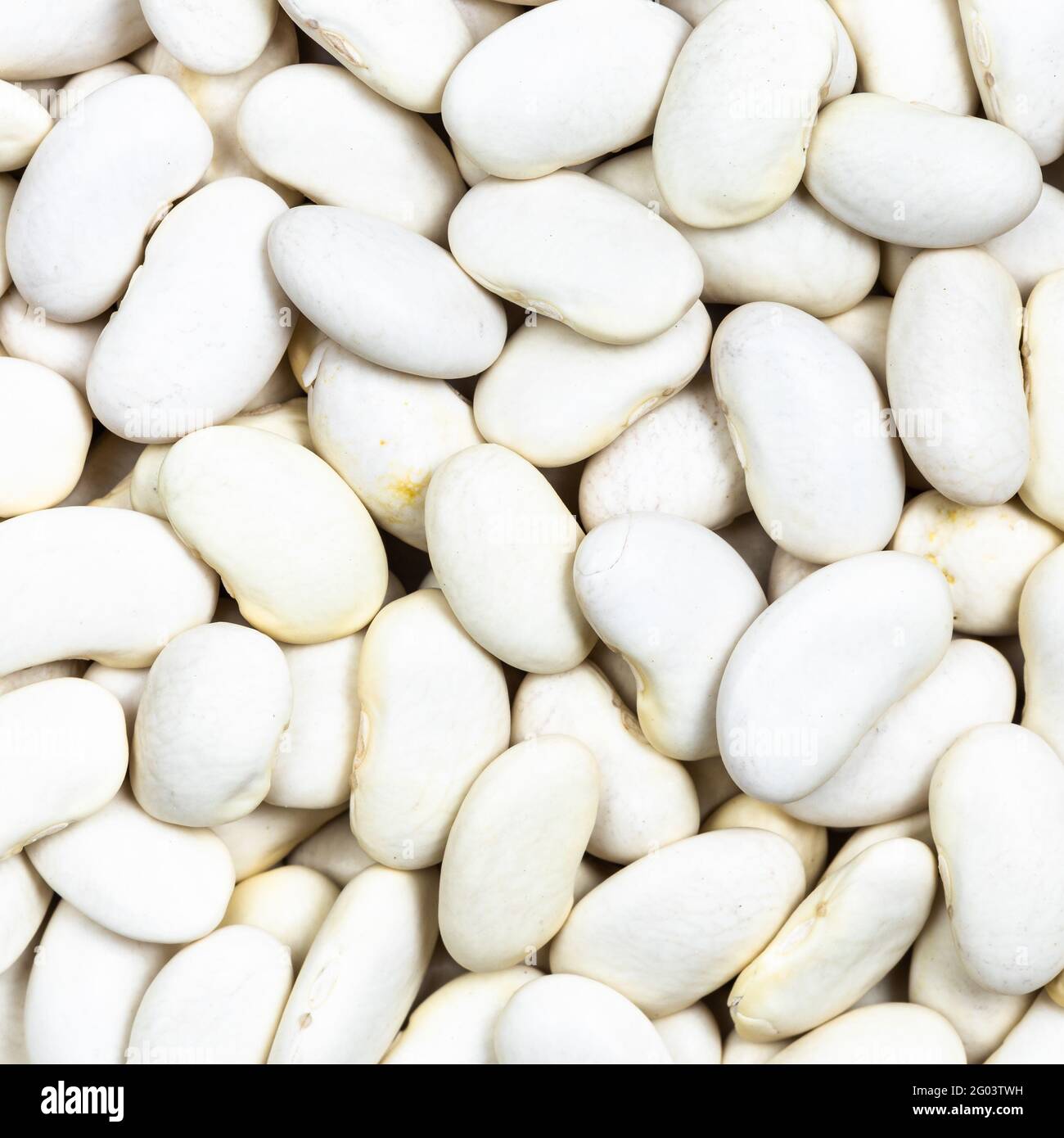 square food background - uncooked white beans close up Stock Photo - Alamy