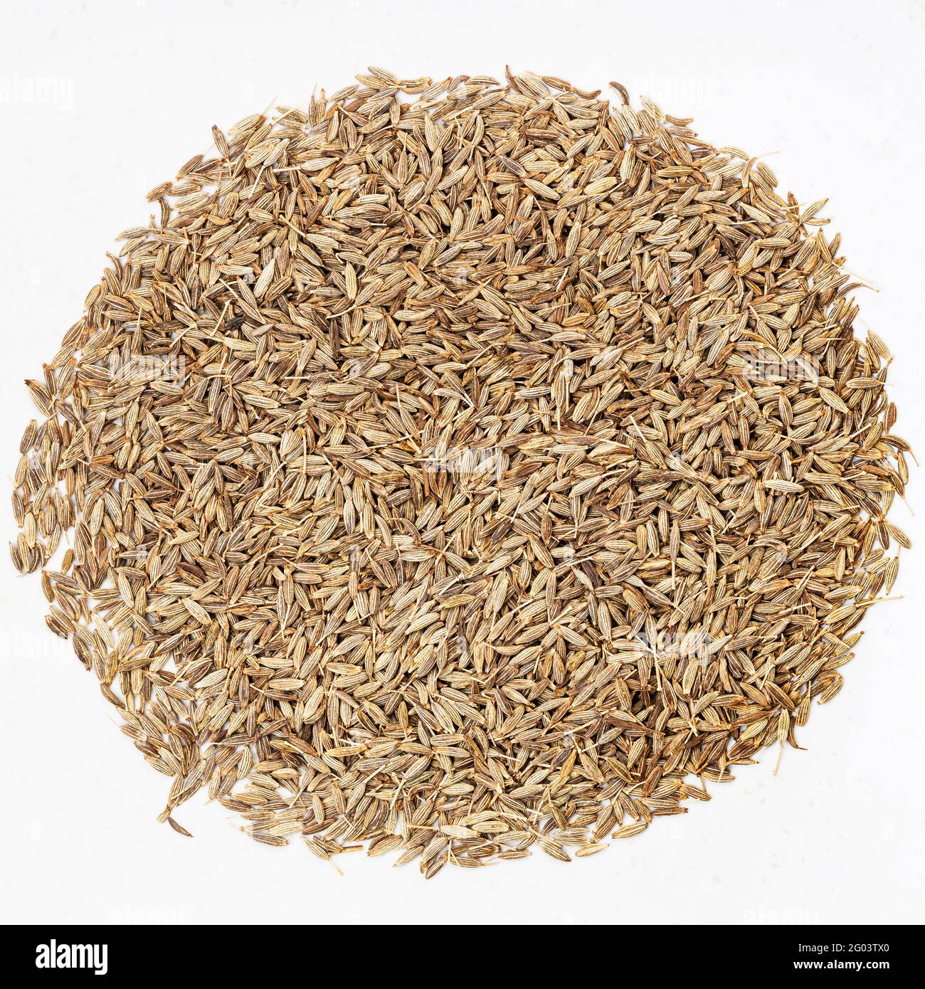 top view of cumin (cuminum cyminum) seeds on gray ceramic plate Stock ...