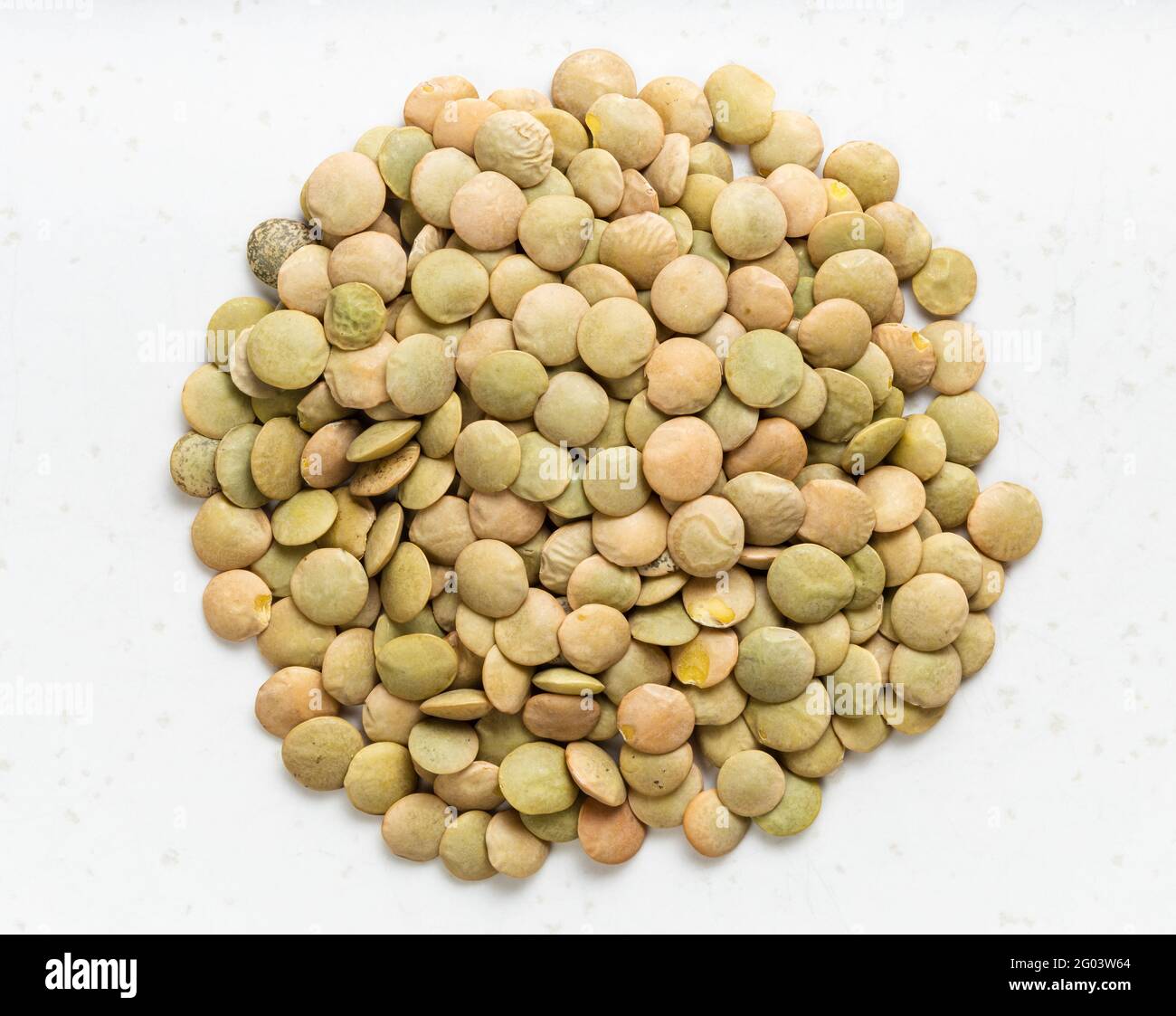 top view of pile of raw whole large green lentils close up on gray ...