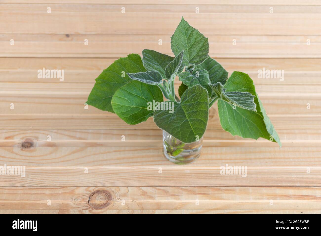 Chisinau, Moldova - July 14, 2019 Modern and luxurious buildings ...