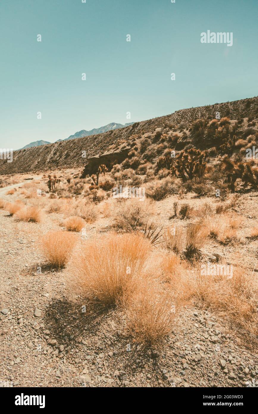 Beautiful Desert Landscape from Mojave Desert leading to Mount ...