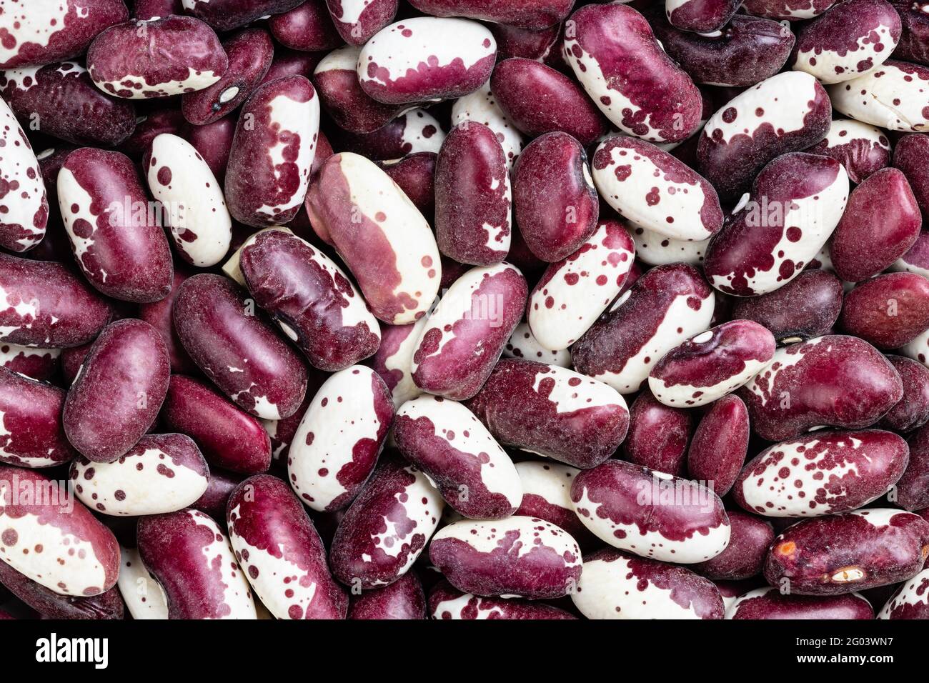 Speckled bean hi-res stock photography and images - Alamy