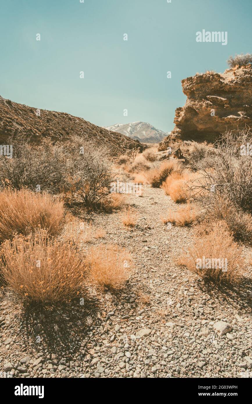 Beautiful Desert Landscape from Mojave Desert leading to Mount ...