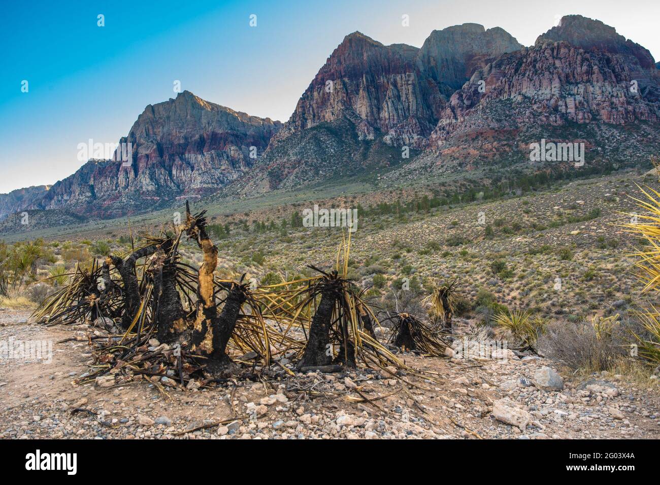 Beautiful desert landscape hi-res stock photography and images - Alamy