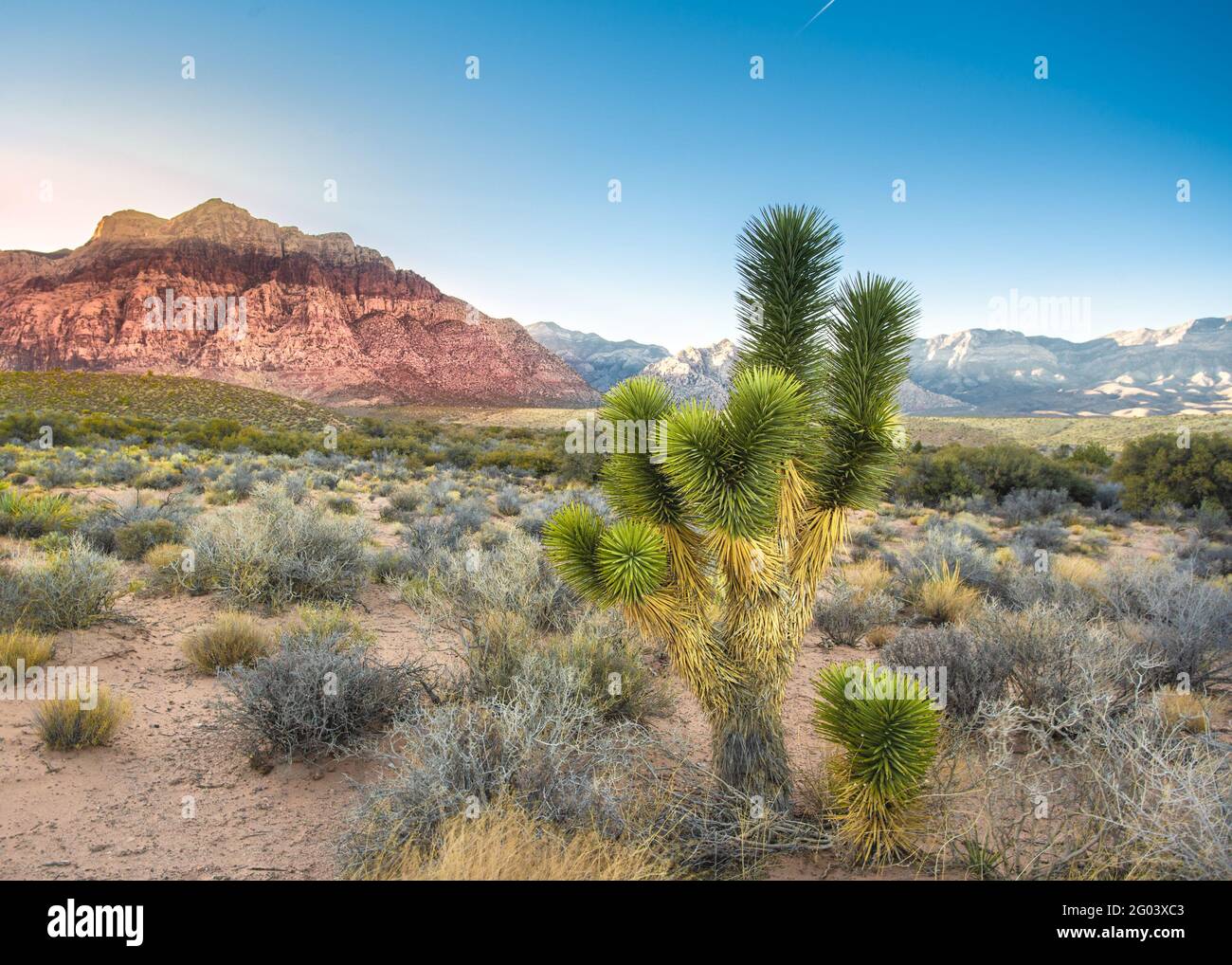 Beautiful Desert Landscape seen from Red Rock Canyon Nevada Stock Photo ...