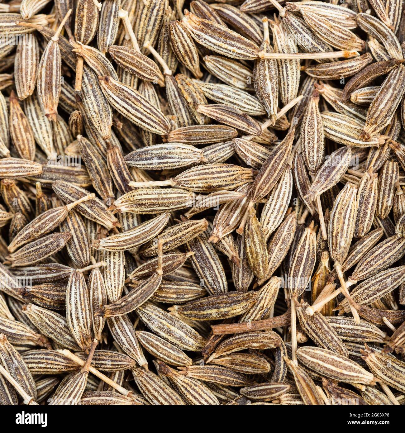 square food background - cumin (cuminum cyminum) seeds close up Stock ...