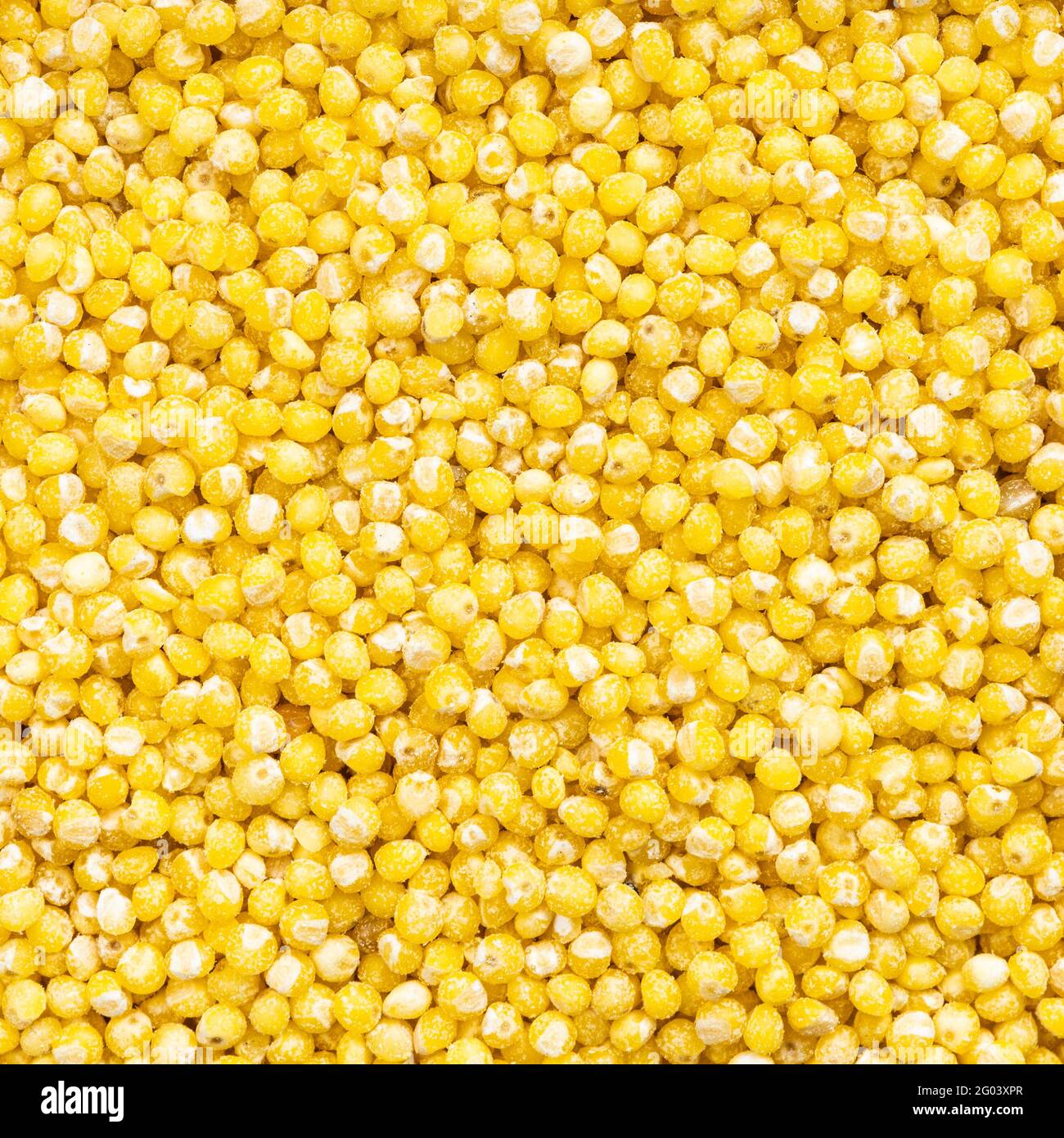 Proso millet hi-res stock photography and images - Alamy