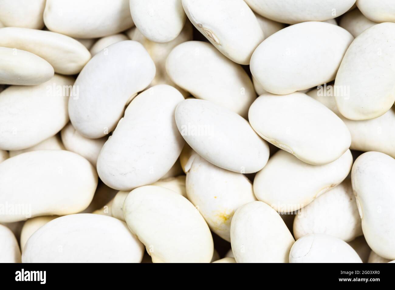 food background - many uncooked white beans close up Stock Photo - Alamy