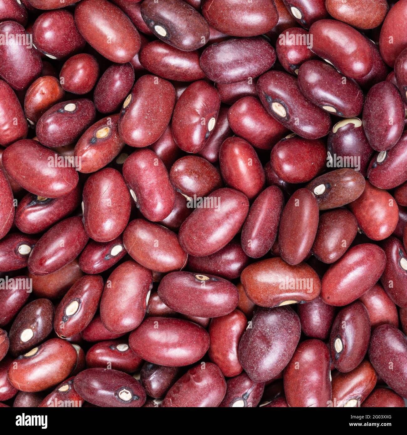 square food background - raw mexican red beans close up Stock Photo - Alamy