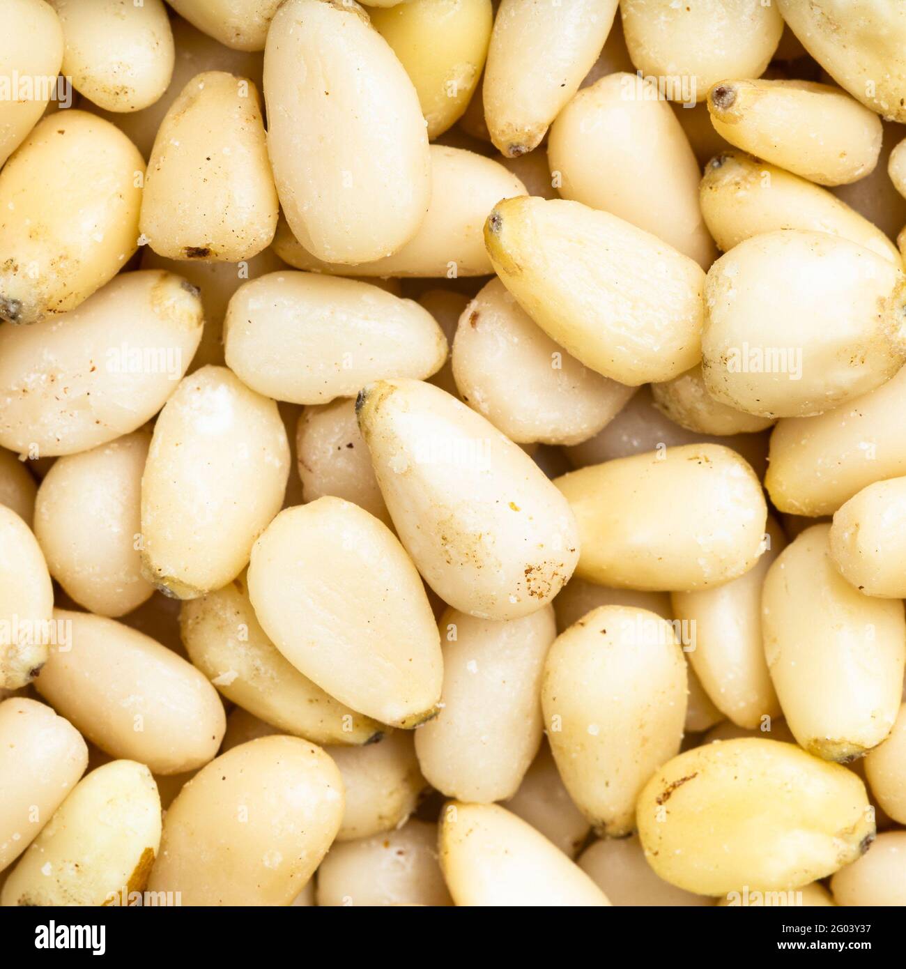 square food background - shelled pine nuts close up Stock Photo - Alamy