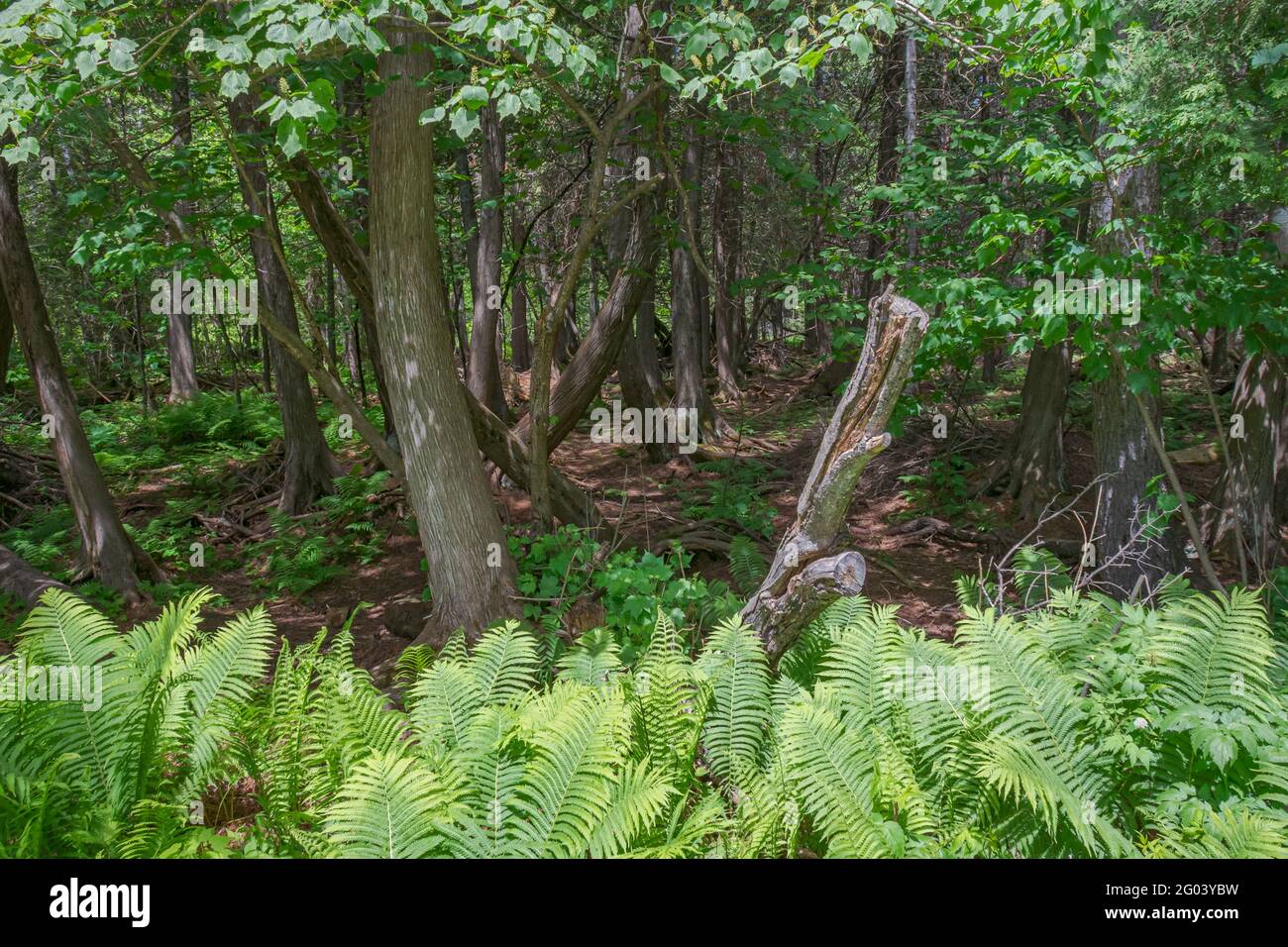 Trowbridge falls hi-res stock photography and images - Alamy