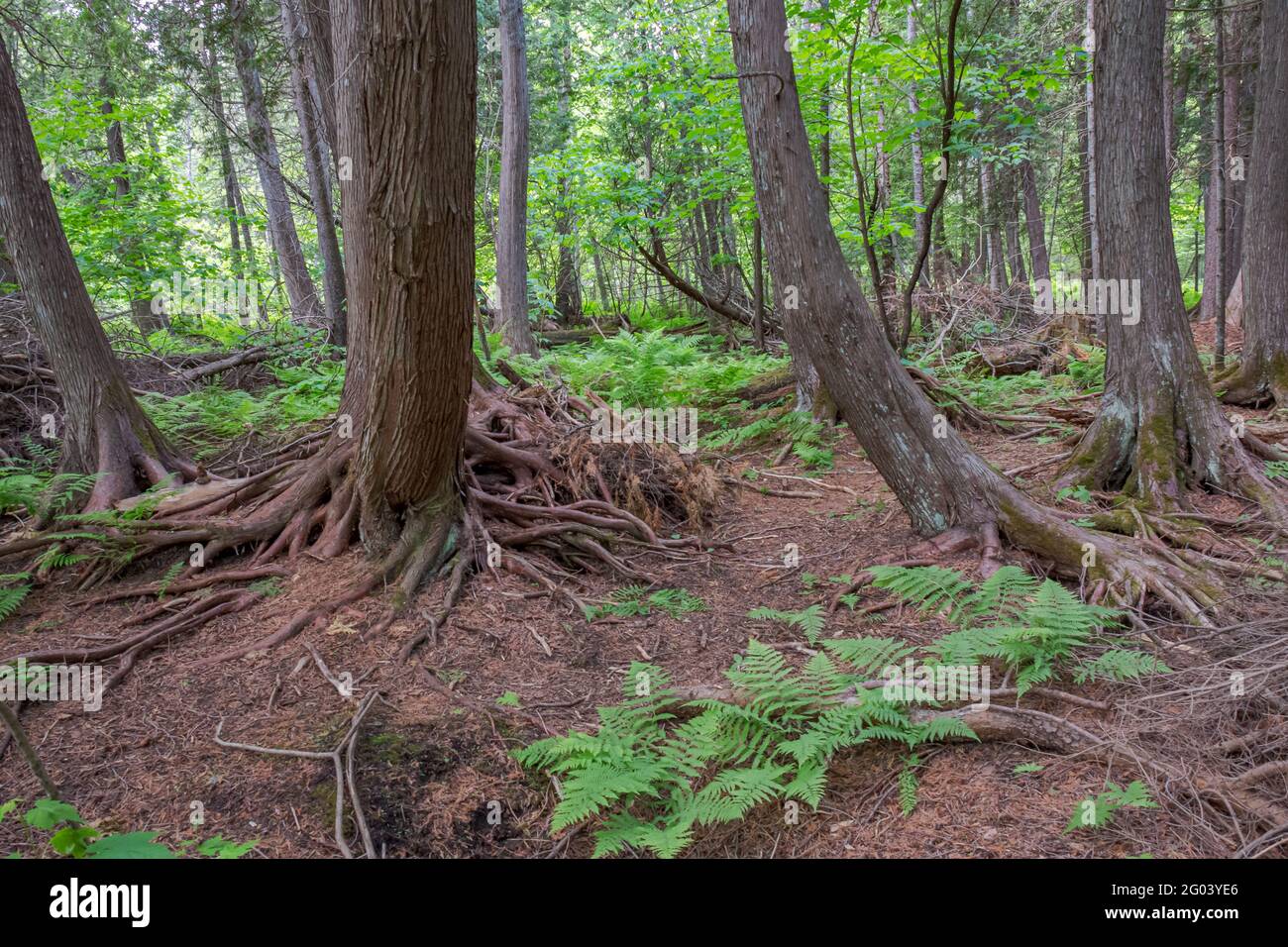 Trowbridge falls hi-res stock photography and images - Alamy