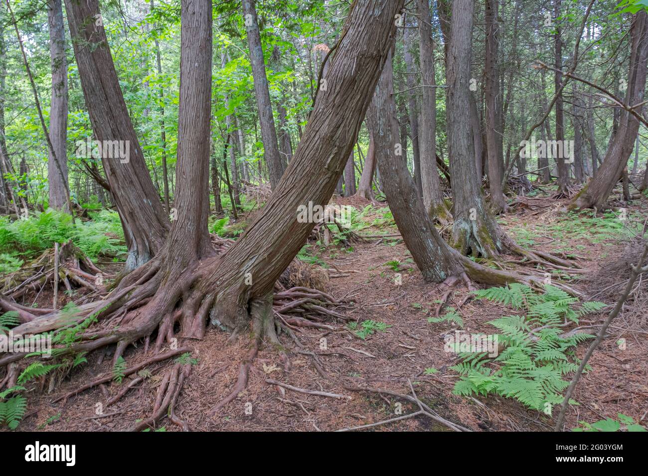 Trowbridge falls hi-res stock photography and images - Alamy
