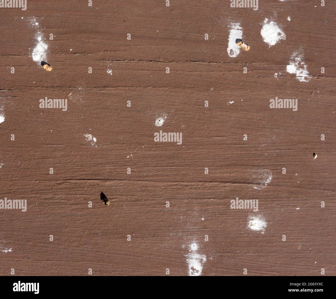 Close view of a brown painted picnic table with bird droppings in early ...