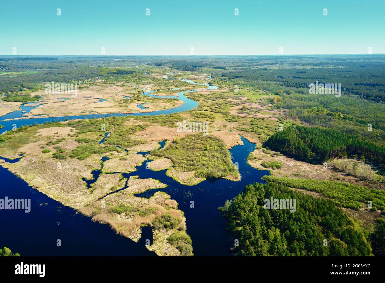 Aerial view of river floodplan and green forest in summer day. Bird eye ...