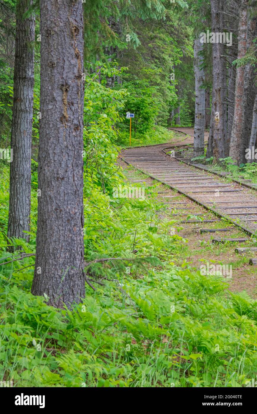 Trowbridge Falls Conservation Area Thunder Bay Ontario Canada Stock ...