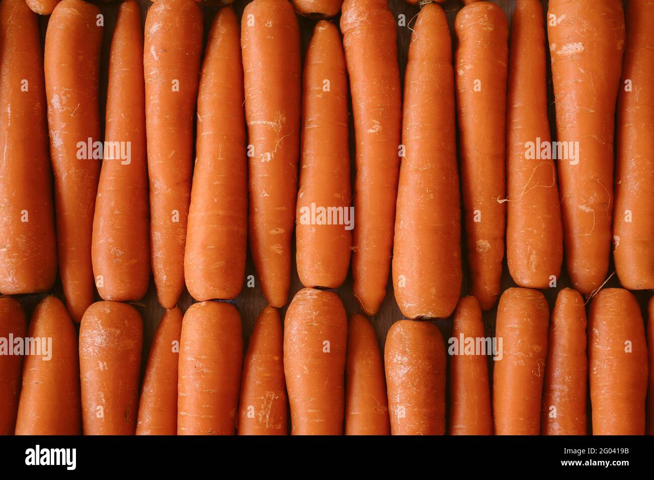Organic carrots as texture and background. Top view. Organic and ...