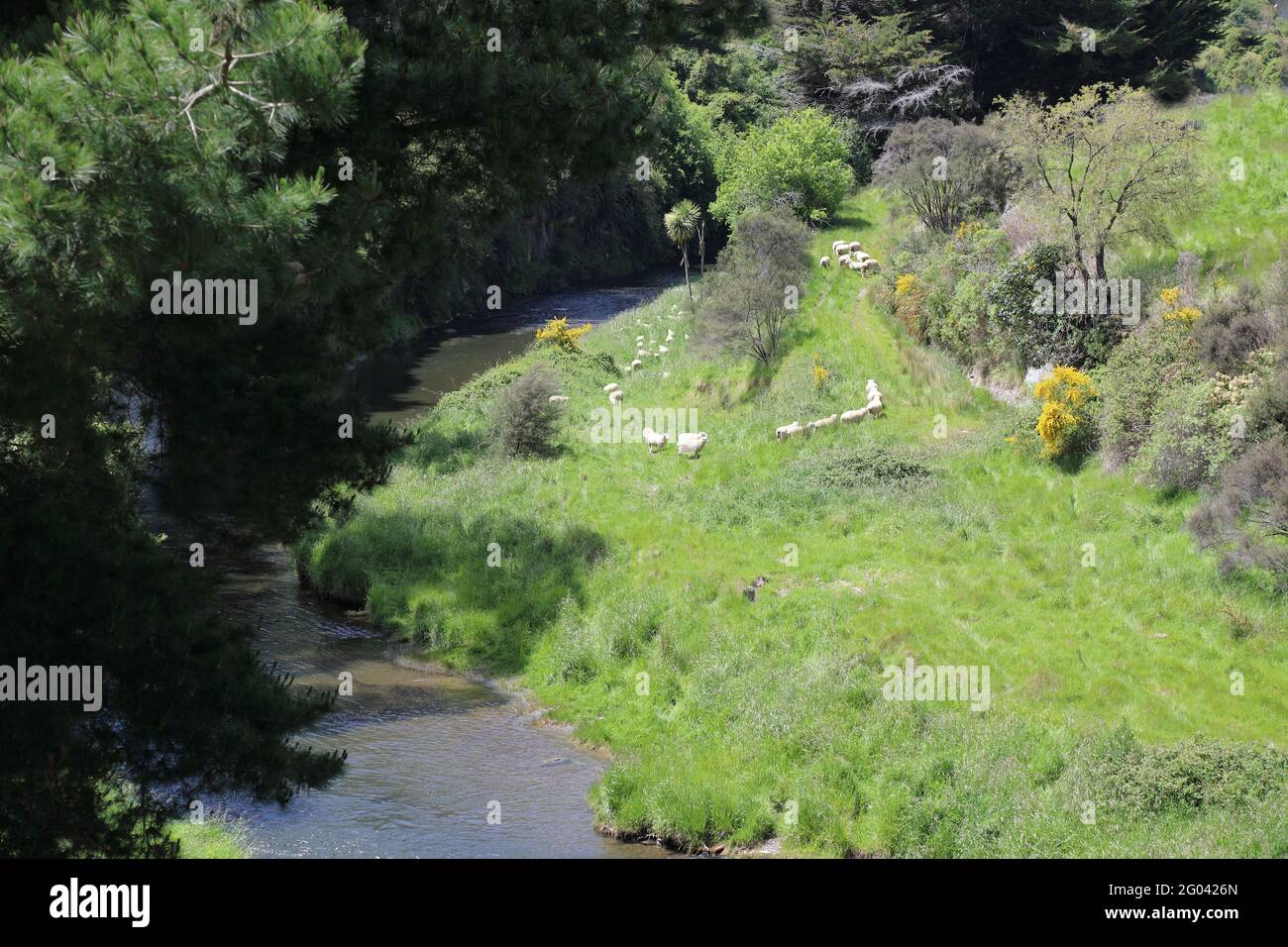 Sheep river australia hi-res stock photography and images - Alamy