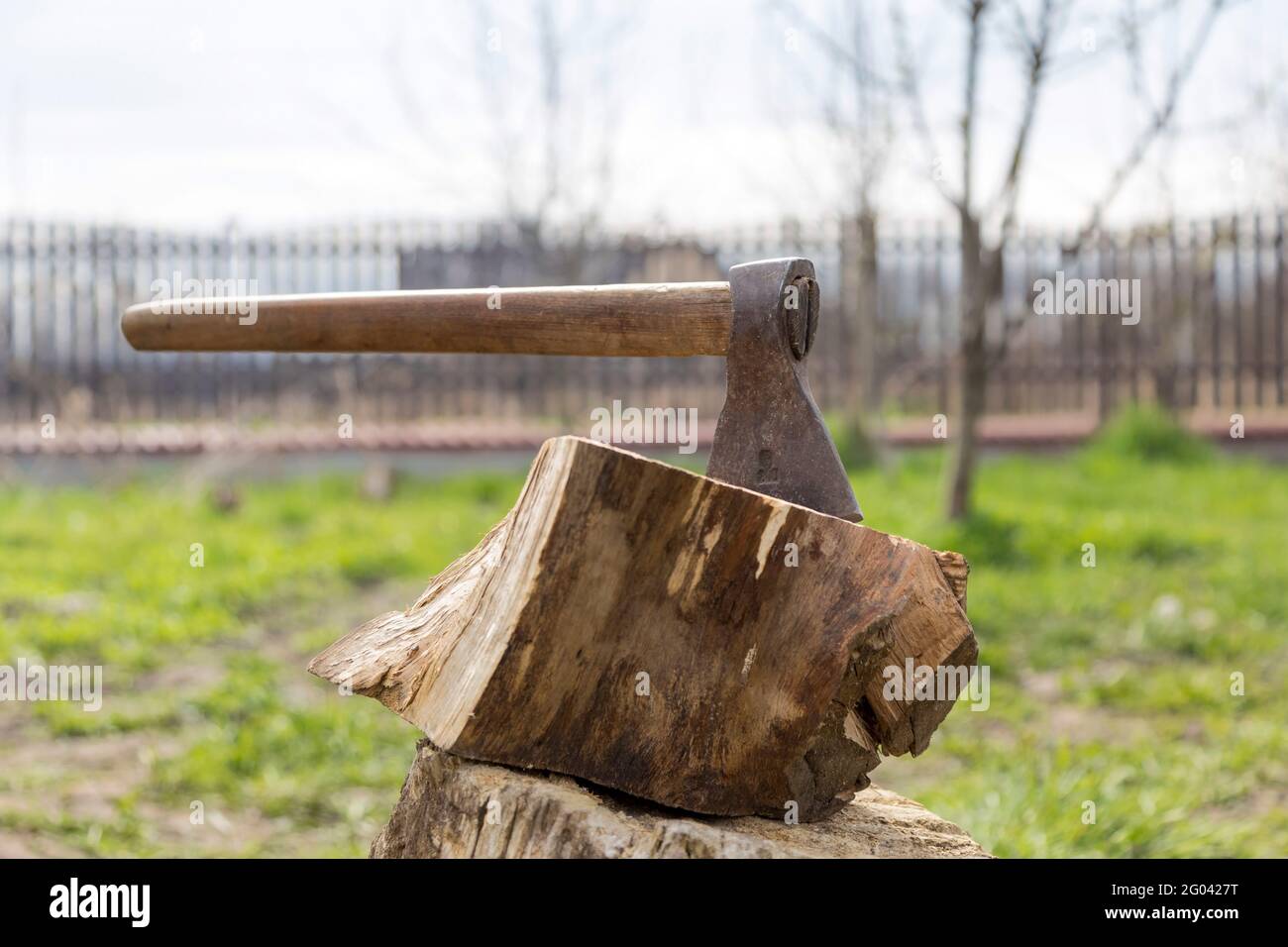 An old ax with a long handle sticks out of the stump. Sunny summer day ...