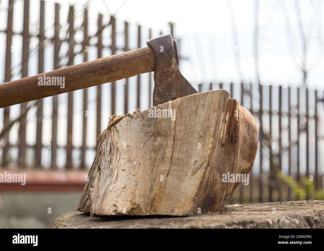 An old ax with a long handle sticks out of the stump. Sunny summer day ...