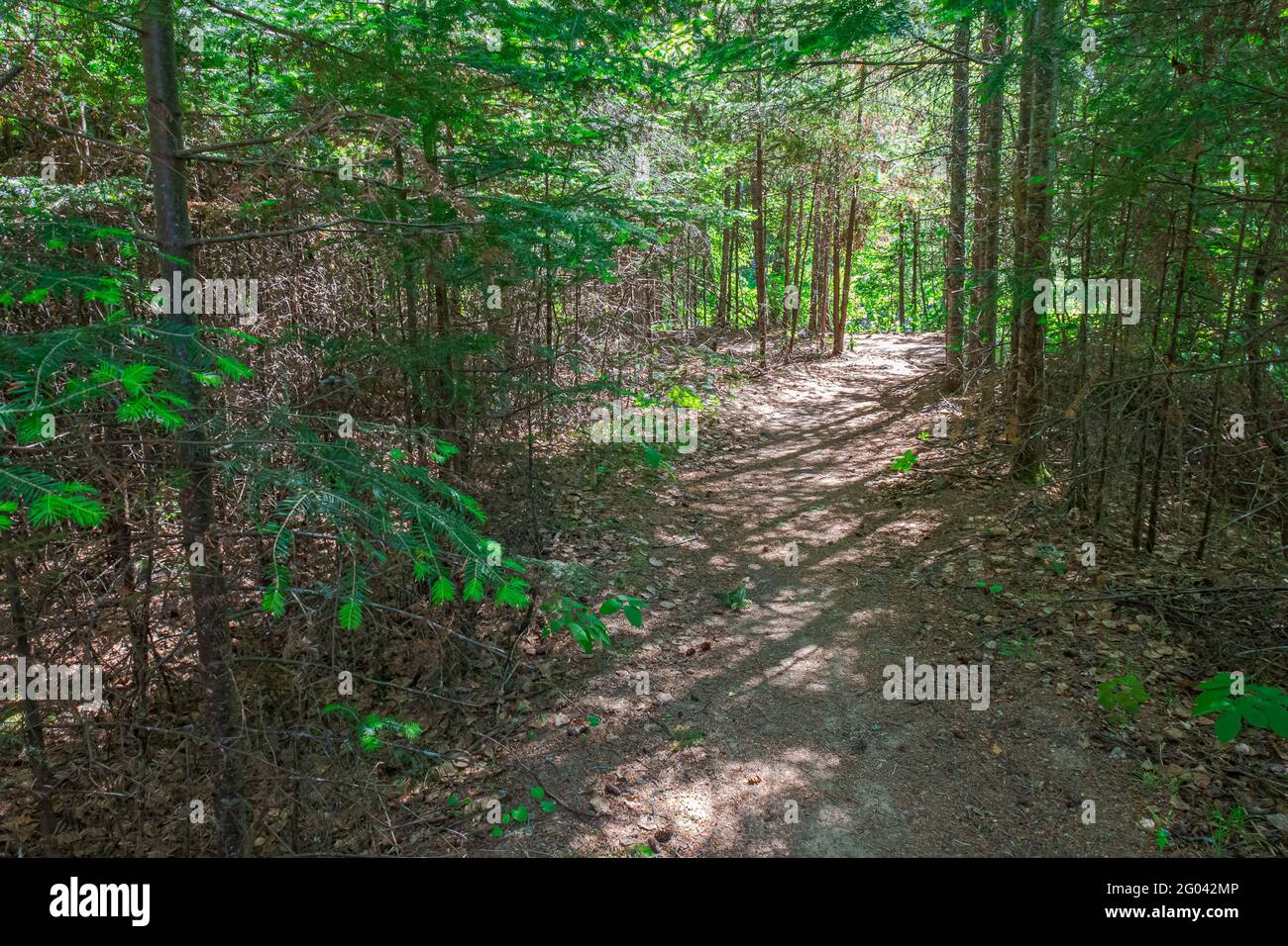 Trowbridge falls hi-res stock photography and images - Alamy
