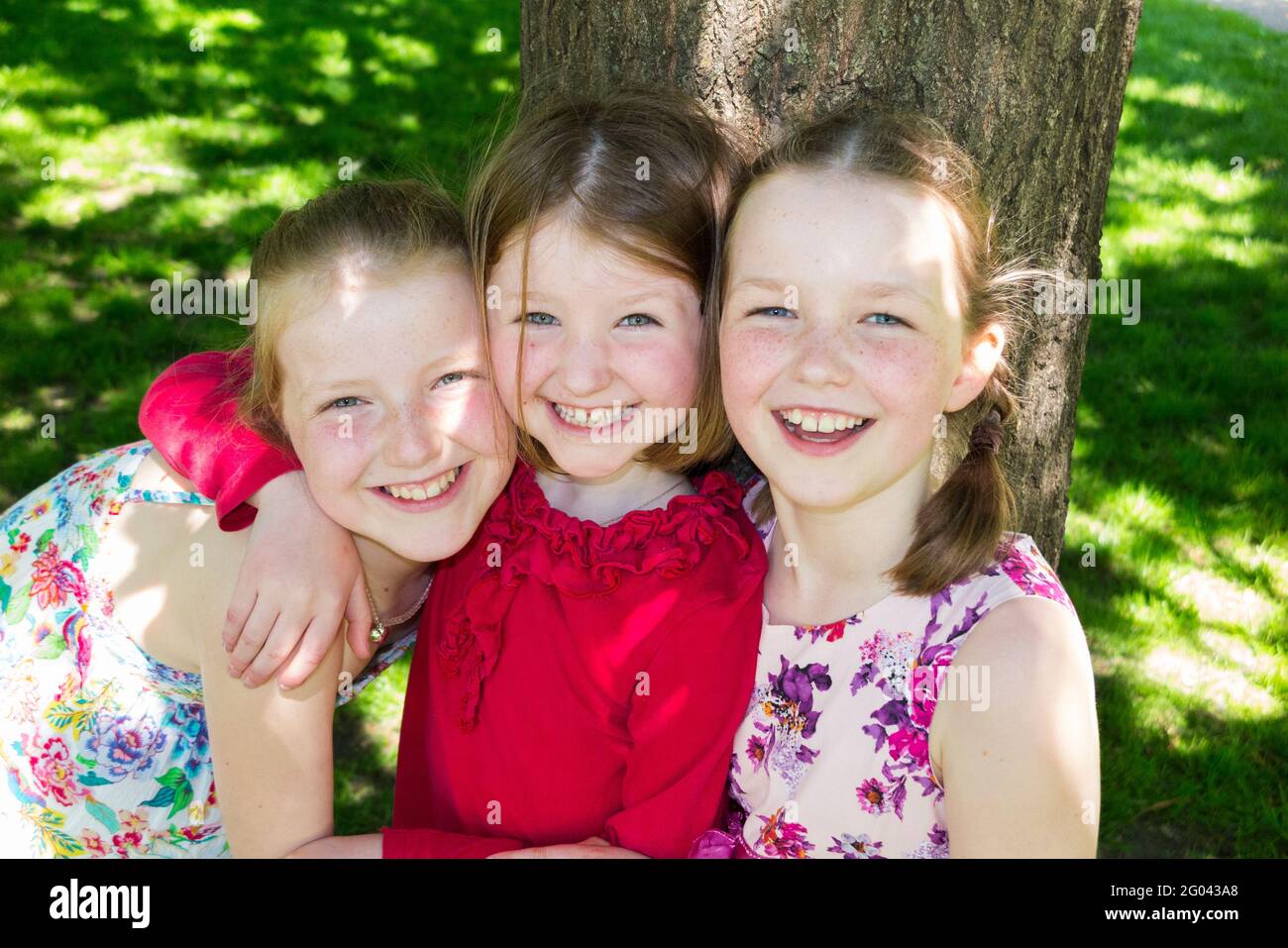 3 children / three kids daughters pose under trees / branch canopy of ...