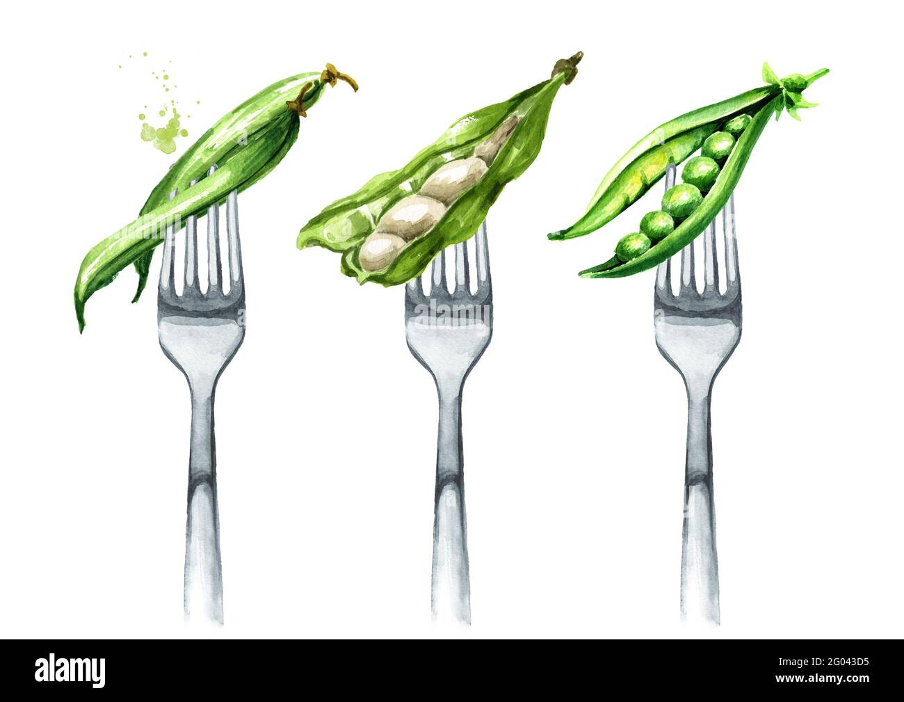 Legumes set. Beans, string beans, peas on a fork. Concept of diet and ...