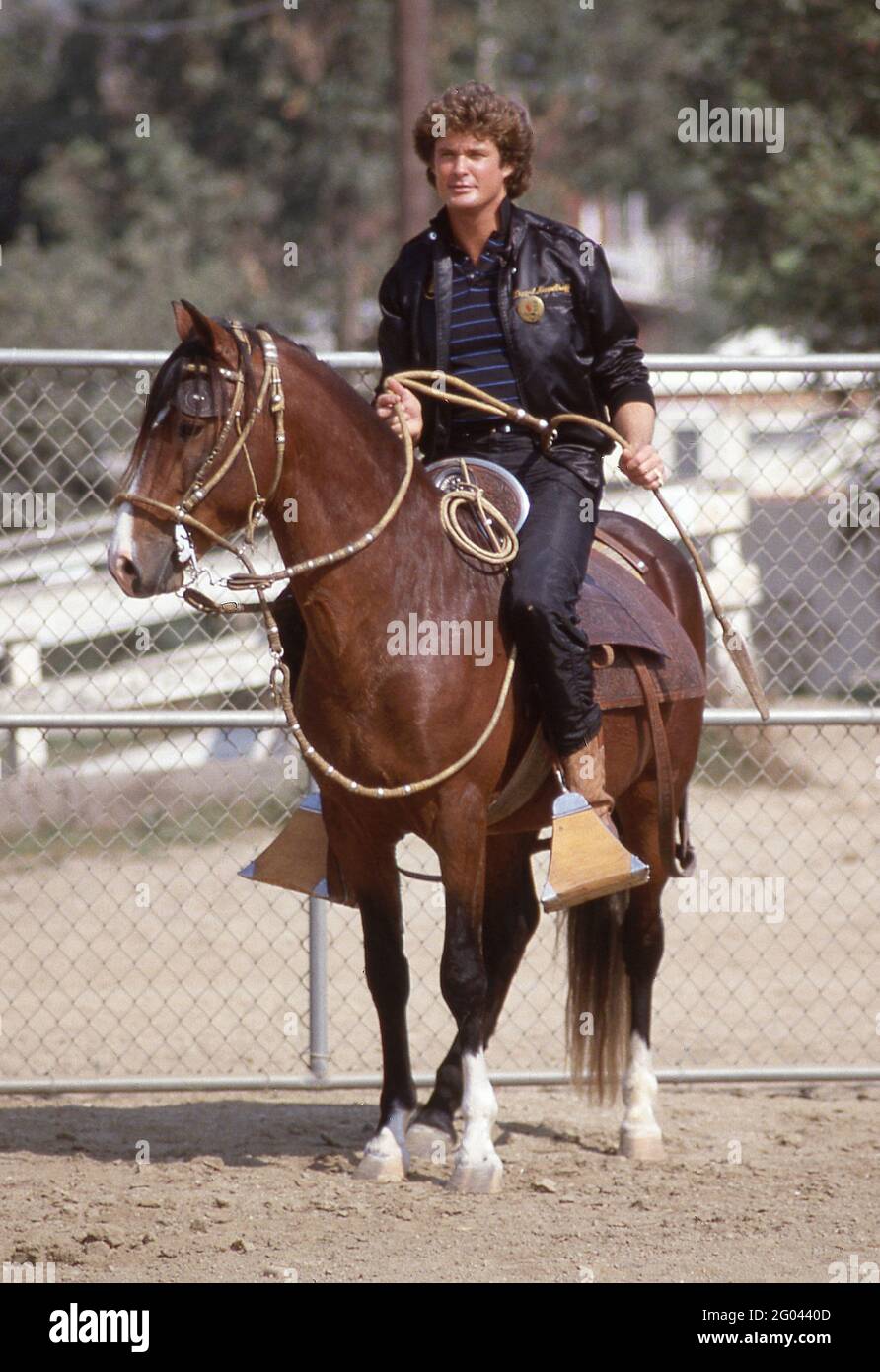 David Hasselhoff Circa 1980's Credit: Ralph Dominguez/MediaPunch Stock ...