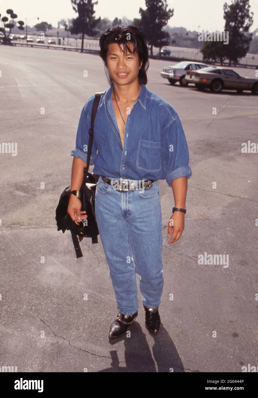 Actor Dustin Nguyen 3 Ninjas