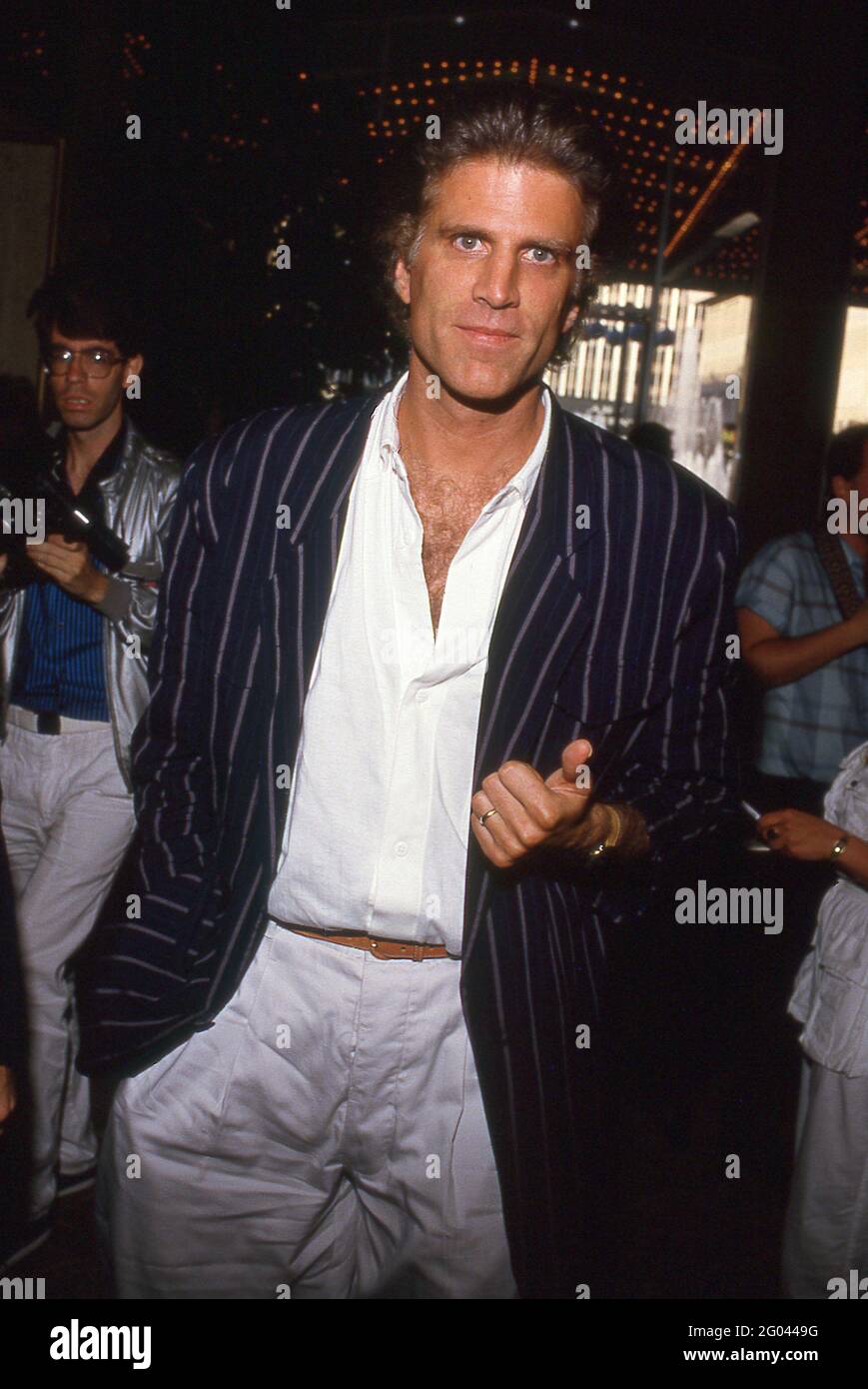 Ted Danson Circa 1980's Credit: Ralph Dominguez/MediaPunch Stock Photo ...