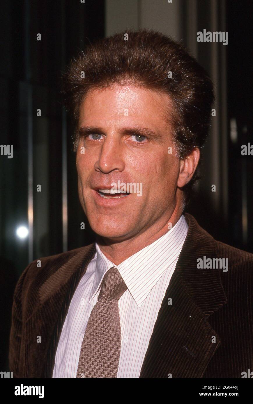 Ted Danson Circa 1980's Credit: Ralph Dominguez/MediaPunch Stock Photo ...