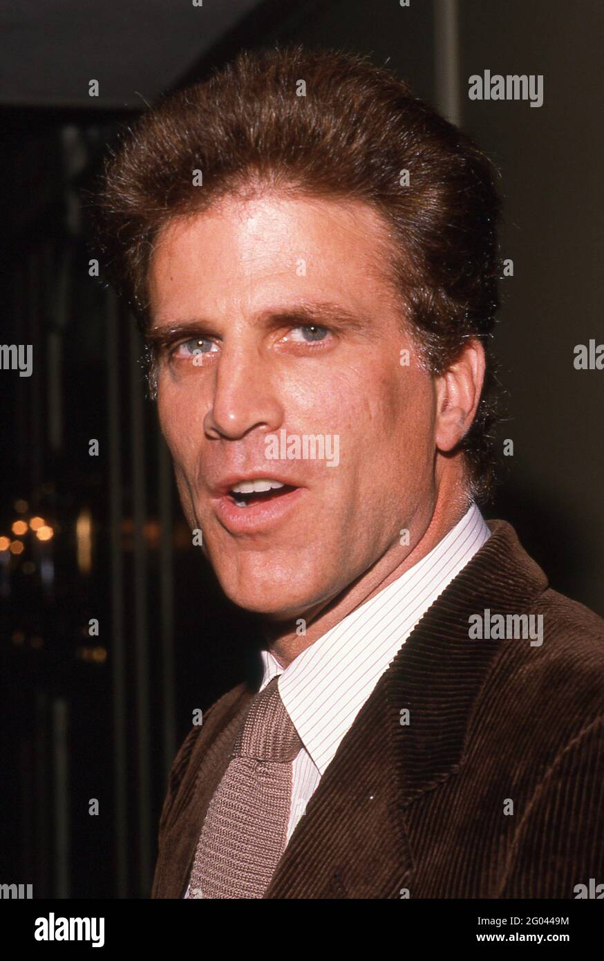 Ted Danson Circa 1980's Credit: Ralph Dominguez/MediaPunch Stock Photo ...